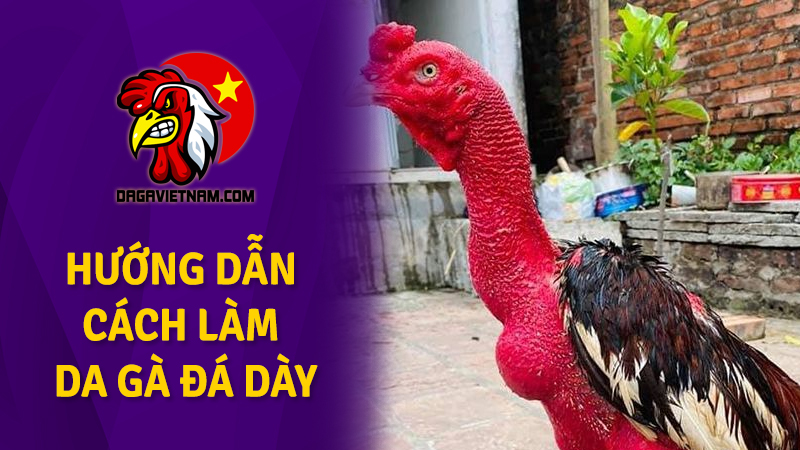 Cách làm da gà đá dày và săn chắc dễ dàng thực hiện