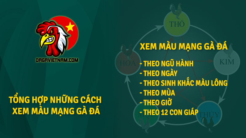 Màu mạng gà đá hôm nay & ngày mai, xem màu mạng gà đá theo ngày